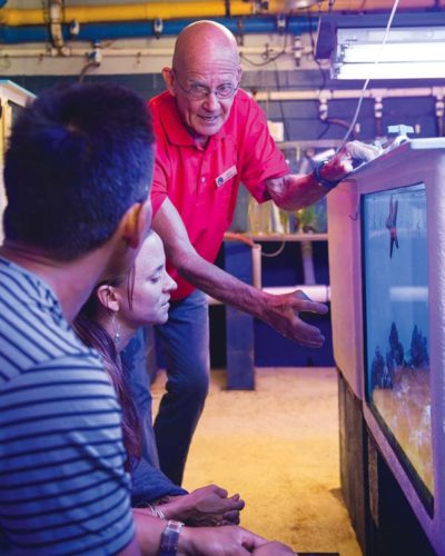 A look back through the eyes of a curator | News, Sports, Jobs - Maui News